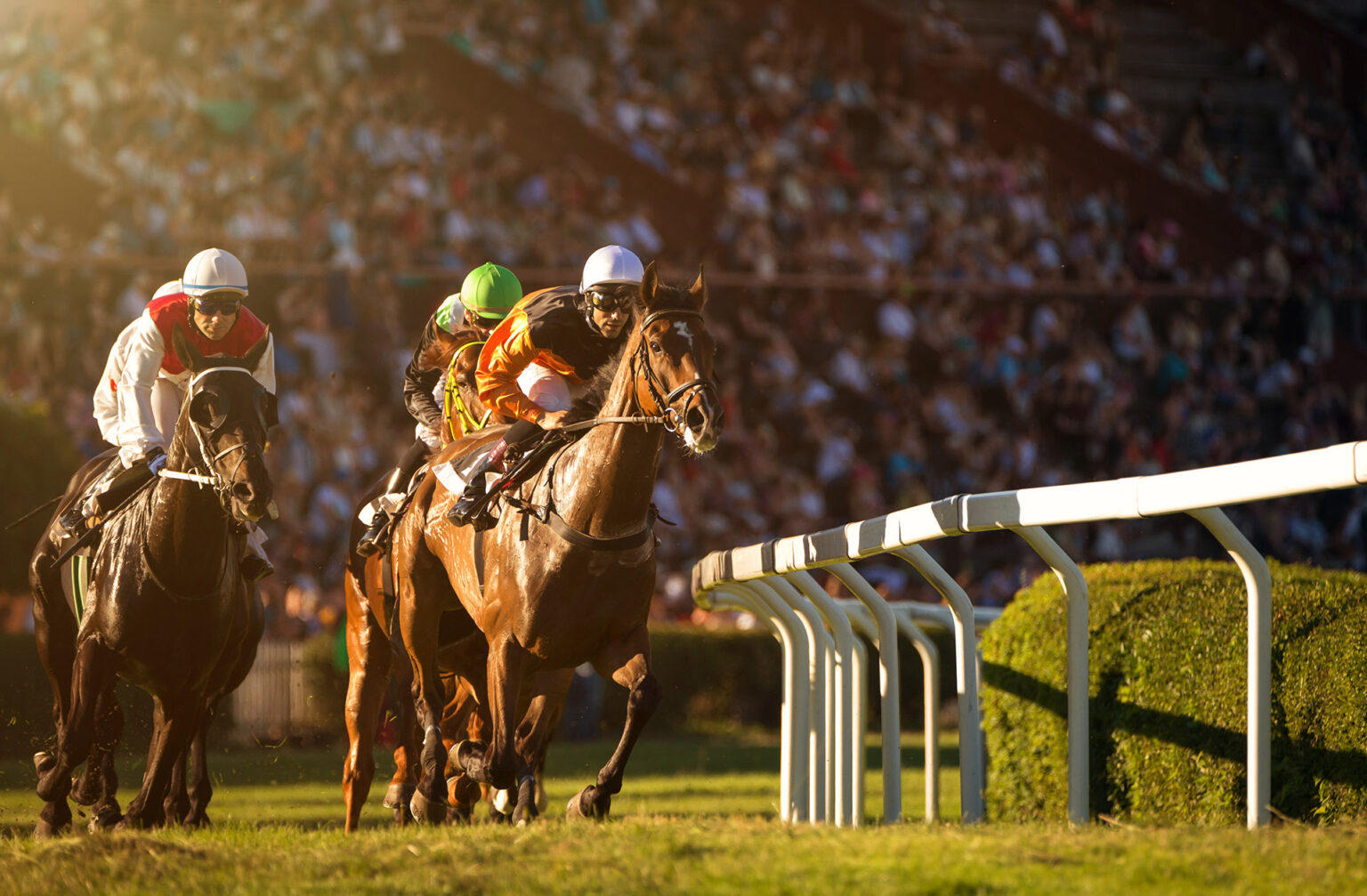 WPM Wealth Advisors LLC